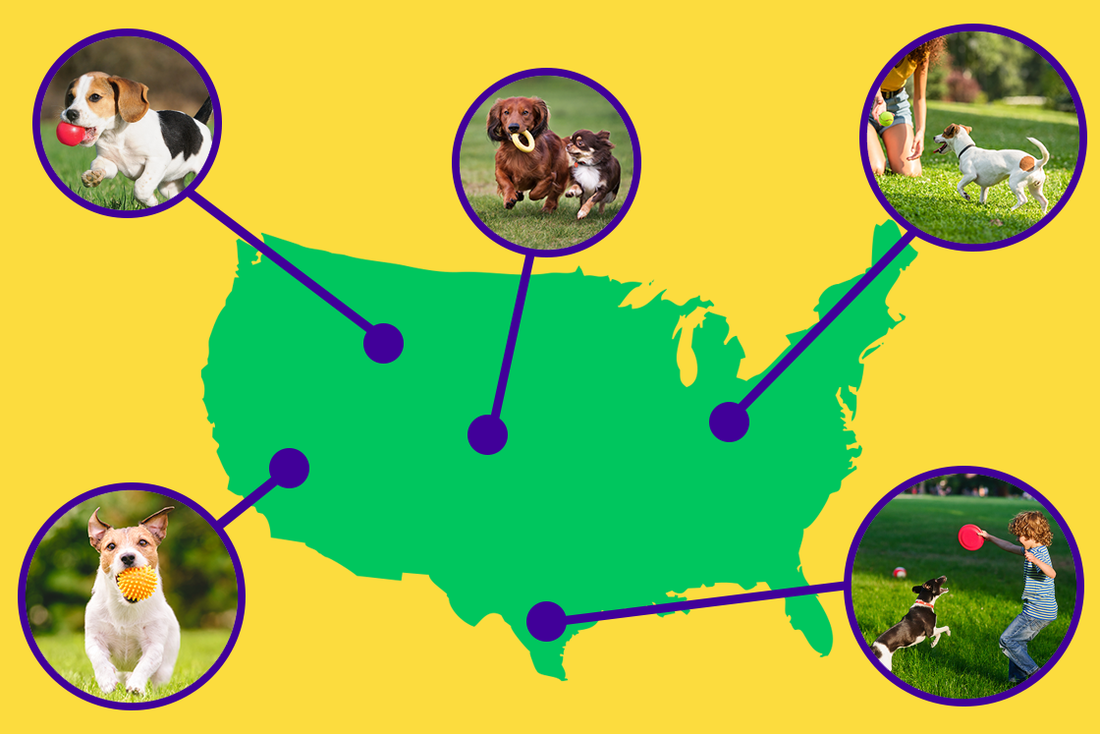 Top 6 Dog Parks in America – petsmile
