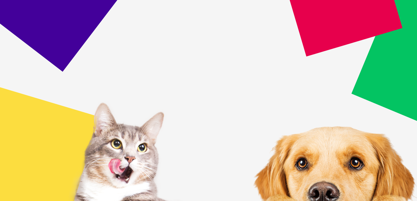 Teeth Cleaning Products for Dogs & Cats | VOHC Recommended Toothpaste